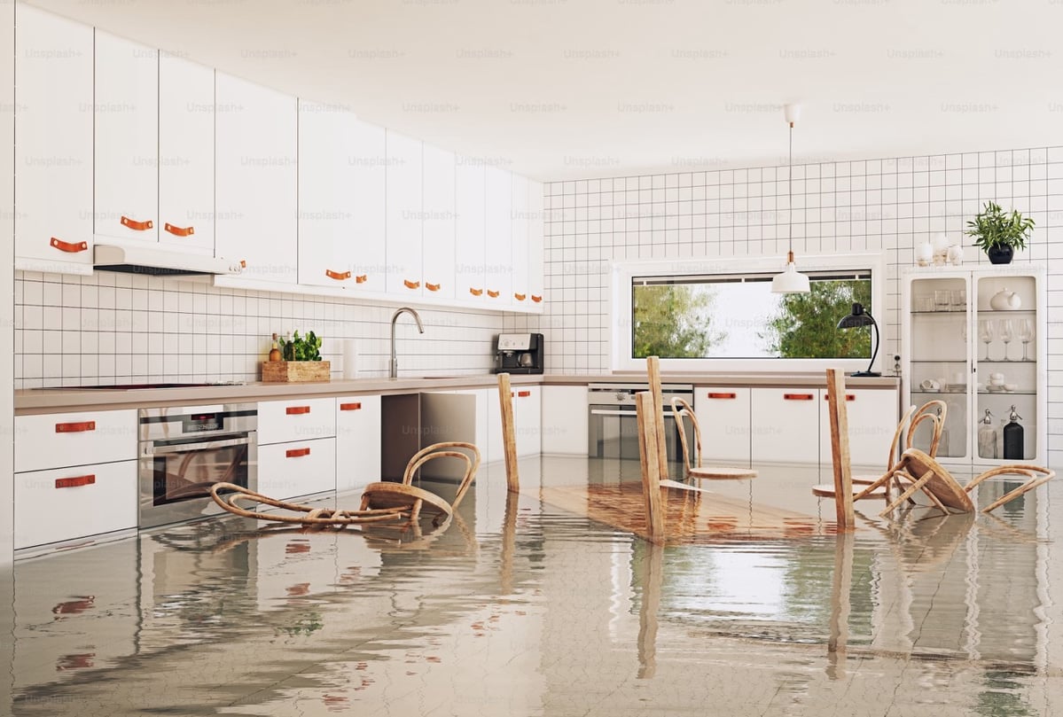 Spannende Wasserschaden Im Haus Ebenbild